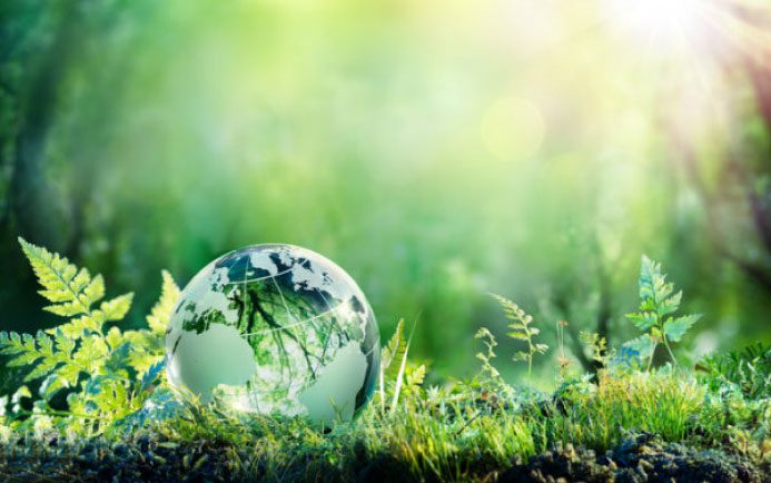 Sustainability Hub - SSGM - Society of Sustainability & Green Materials